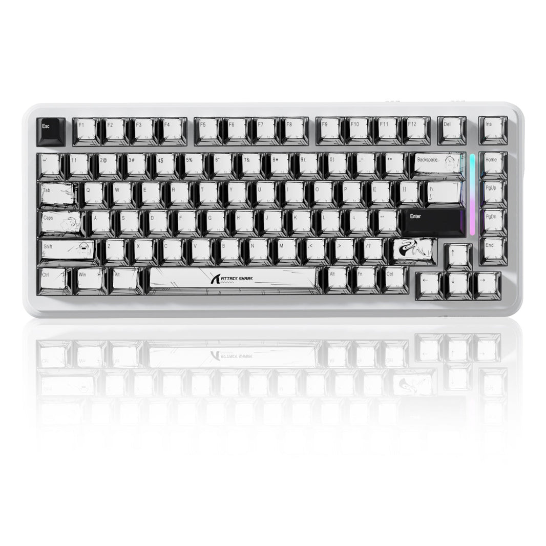 Mechanical & Magnetic Gaming Keyboards | Pakistan – Vortex Gears ...